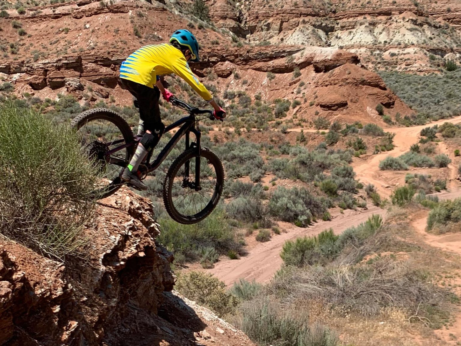 Trek Fuel EX 8 Review