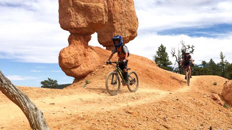 The Scott Scale RC JR 24 - A Race Ready XC Bike for Kids